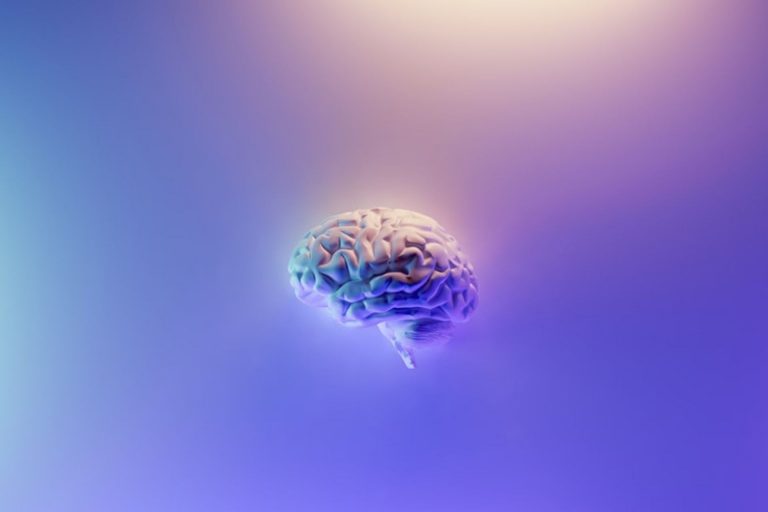 Neuroplasticity Exercises and How They Play a Role in Education ...