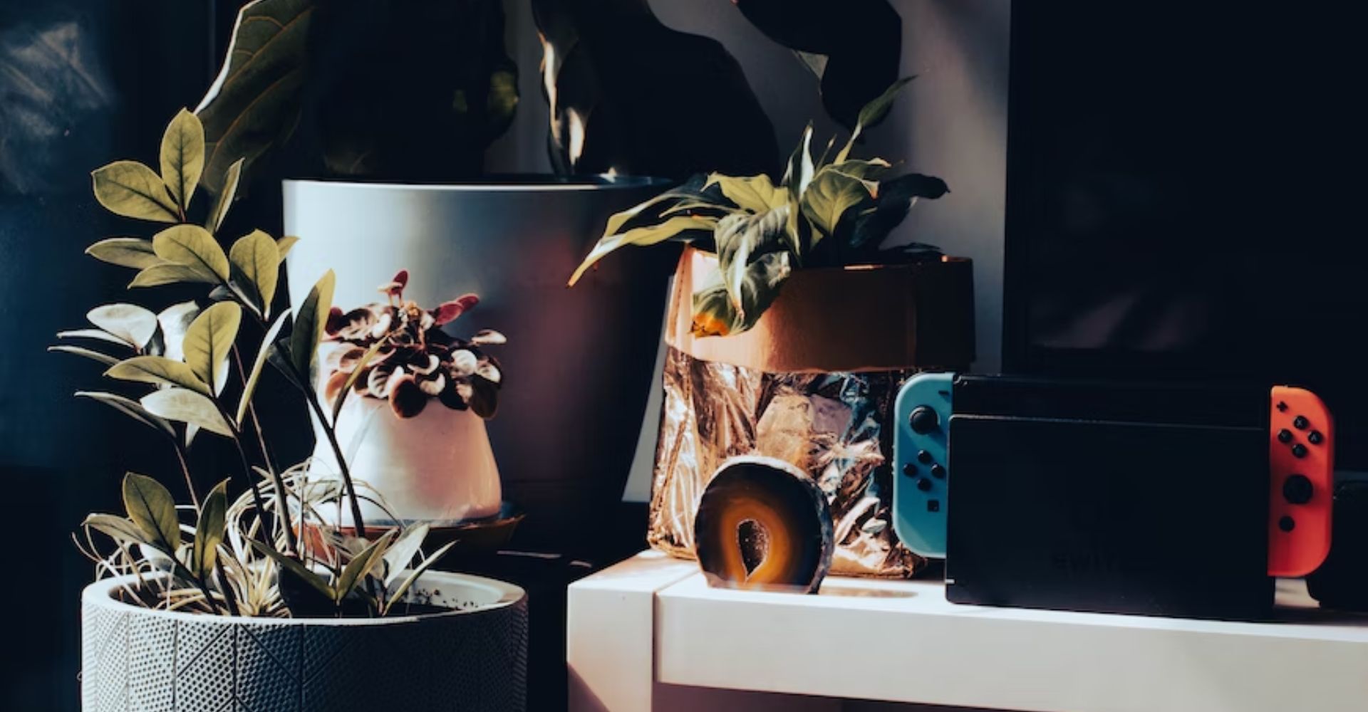 Educational Video Games for the Nintendo Switch - Classrooms